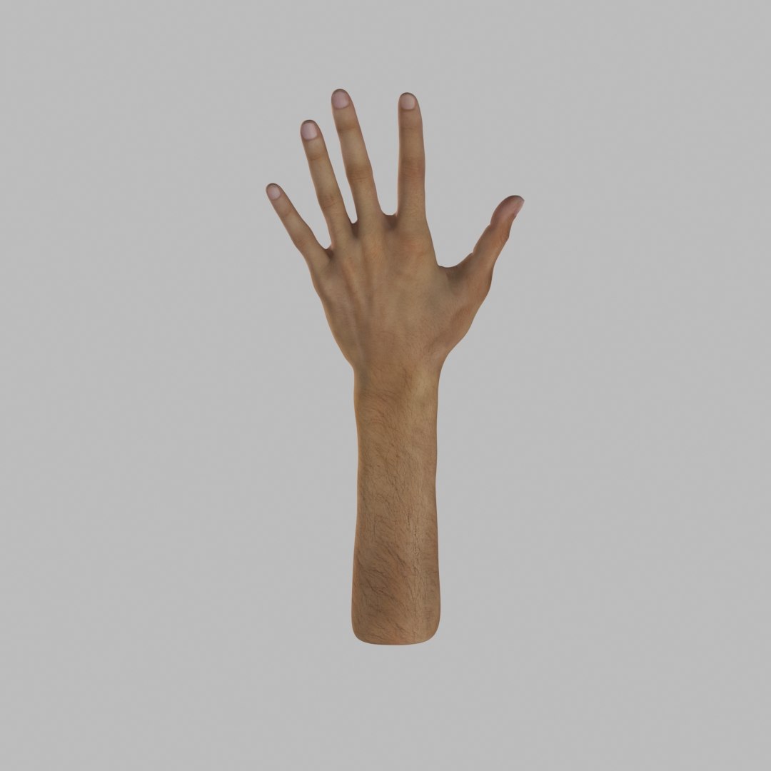 Hand Modelled 3D Model - TurboSquid 1299552