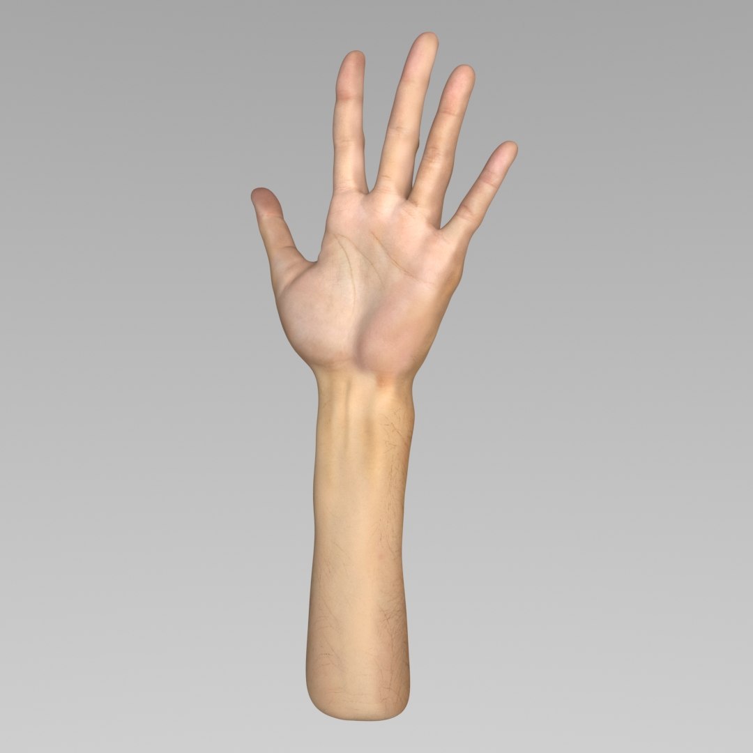 Hand Modelled 3D Model - TurboSquid 1299552