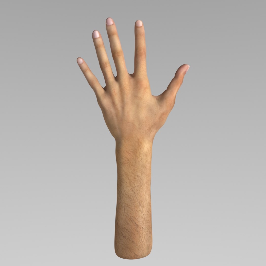 Hand Modelled 3D Model - TurboSquid 1299552