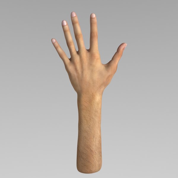 Animated Hand 3D Models for Download | TurboSquid