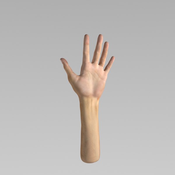 modelo 3d Modelo de mano 3D realista - TurboSquid 1299552