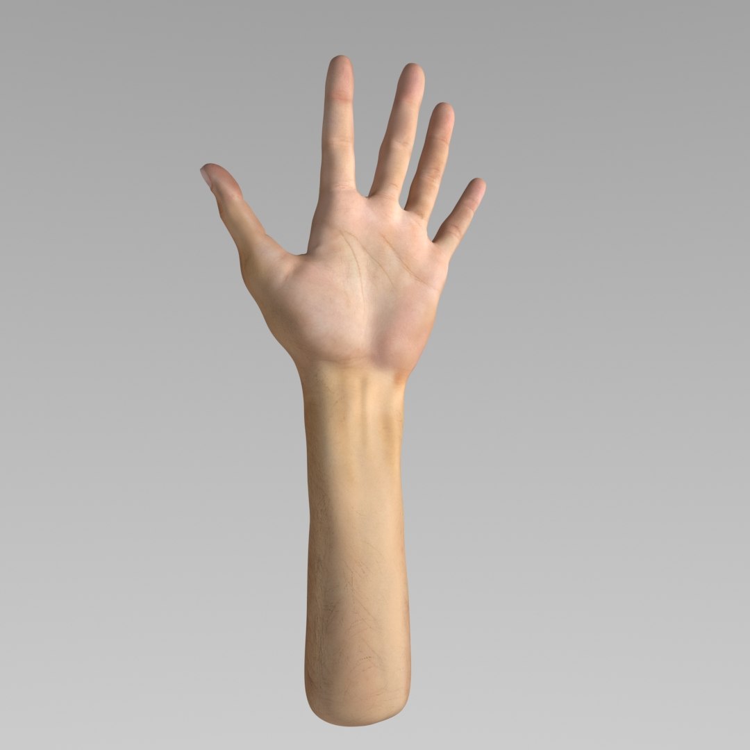 Hand Modelled 3D Model - TurboSquid 1299552
