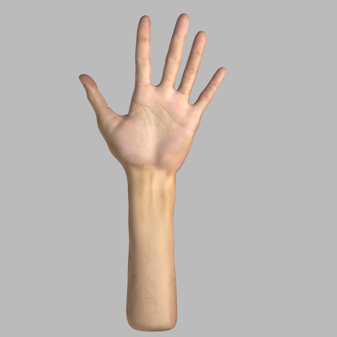 Hand Modelled 3D Model - TurboSquid 1299552