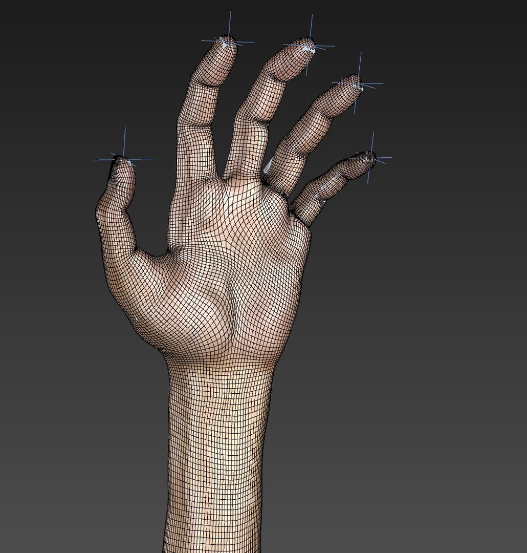Hand Modelled 3D Model - TurboSquid 1299552