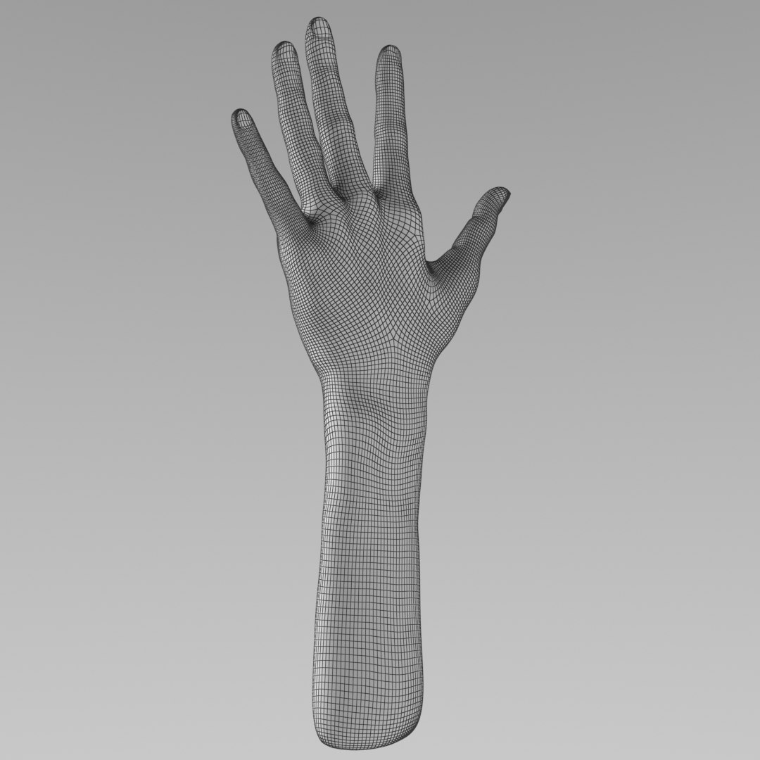 Hand Modelled 3D Model - TurboSquid 1299552