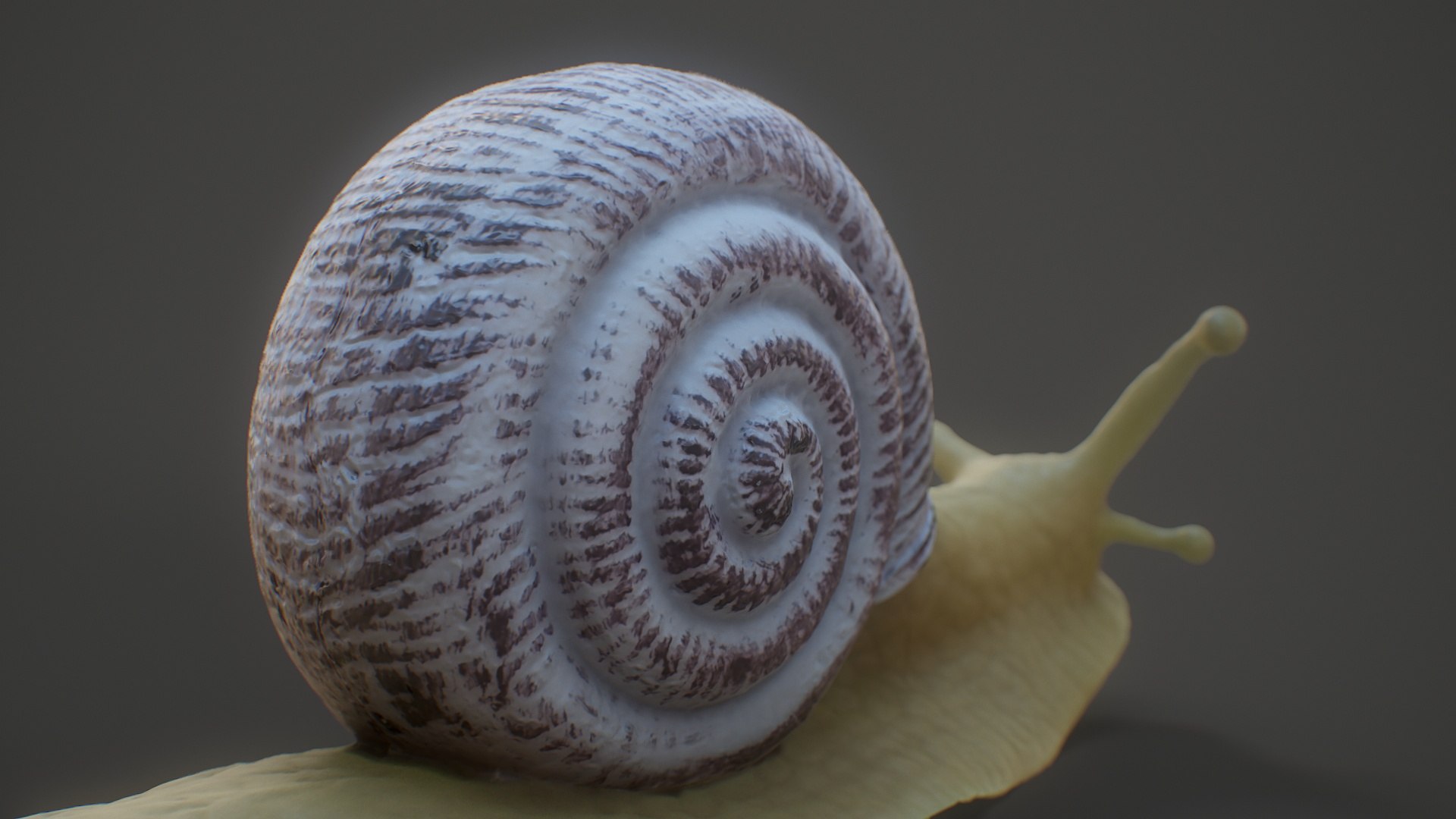 3D toy snail model - TurboSquid 1711573