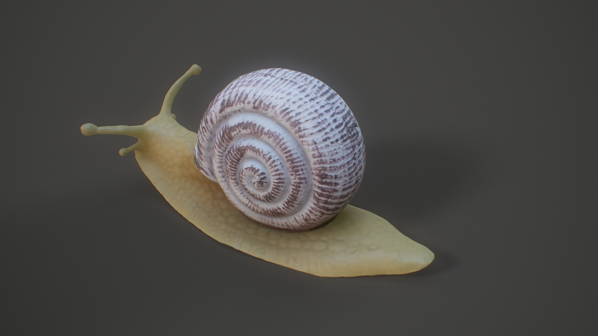 3D toy snail model - TurboSquid 1711573