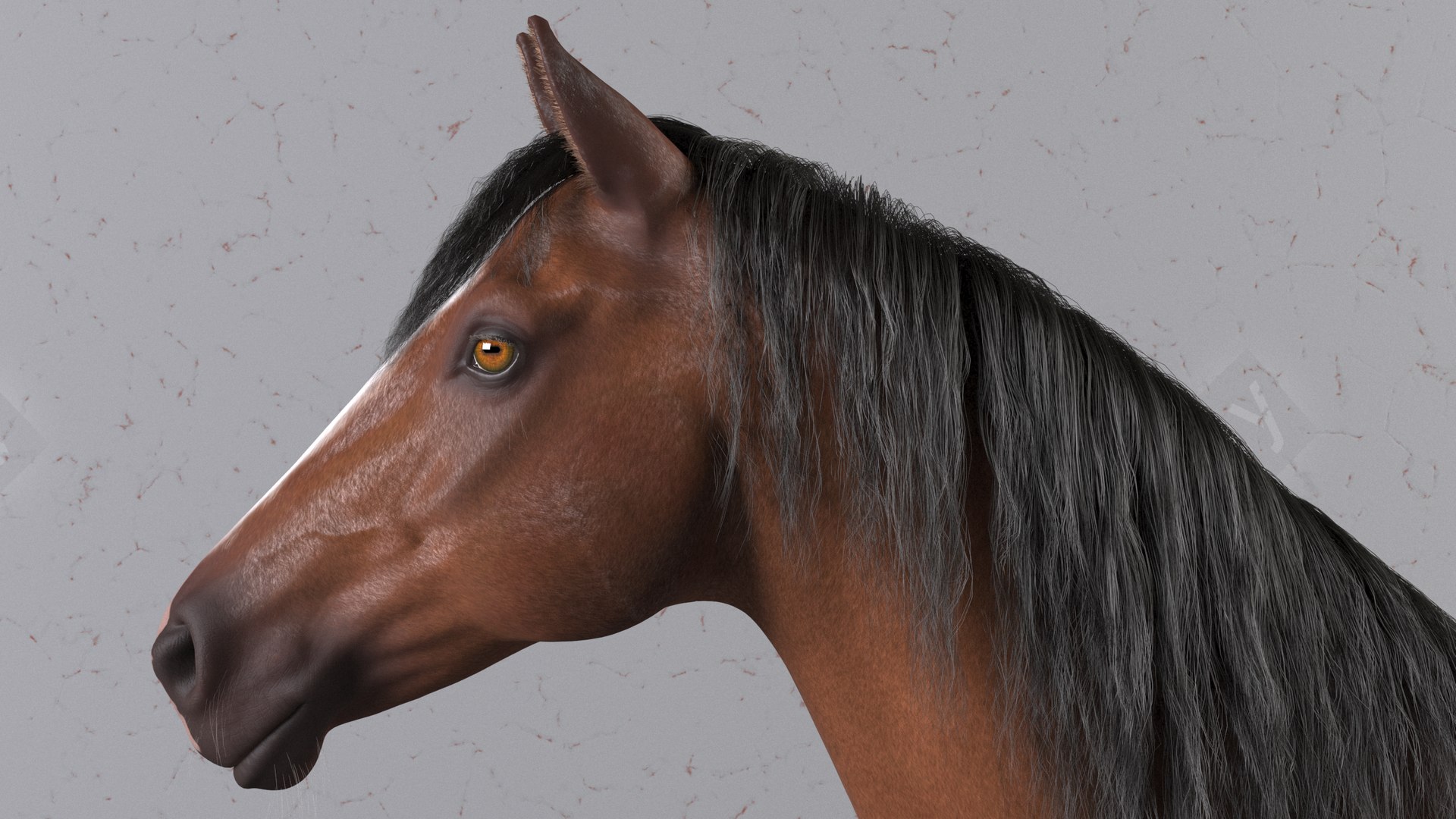 Horse - High Poly 3D Model - TurboSquid 2067569