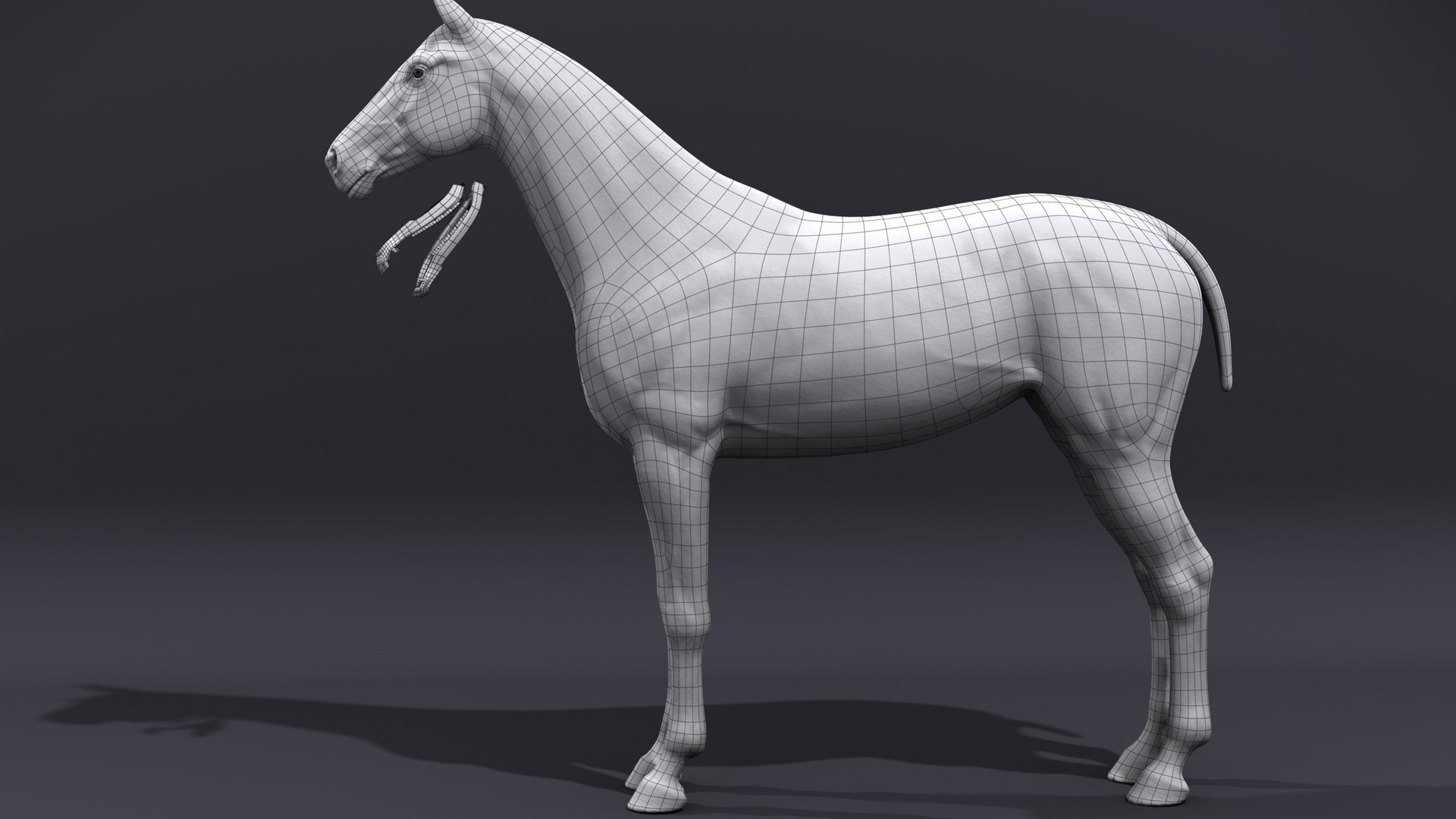 Horse - High Poly 3D Model - TurboSquid 2067569