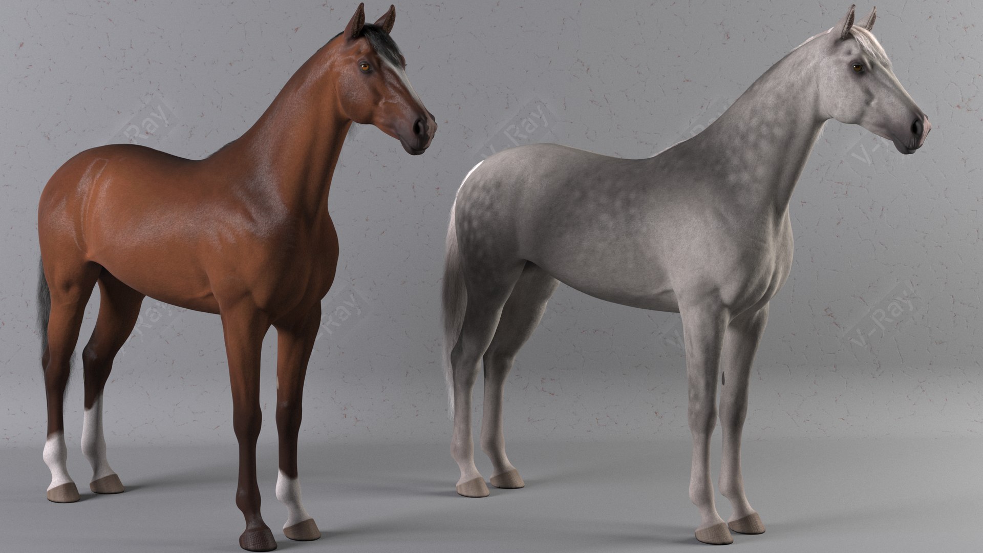 Horse - High Poly 3D Model - TurboSquid 2067569