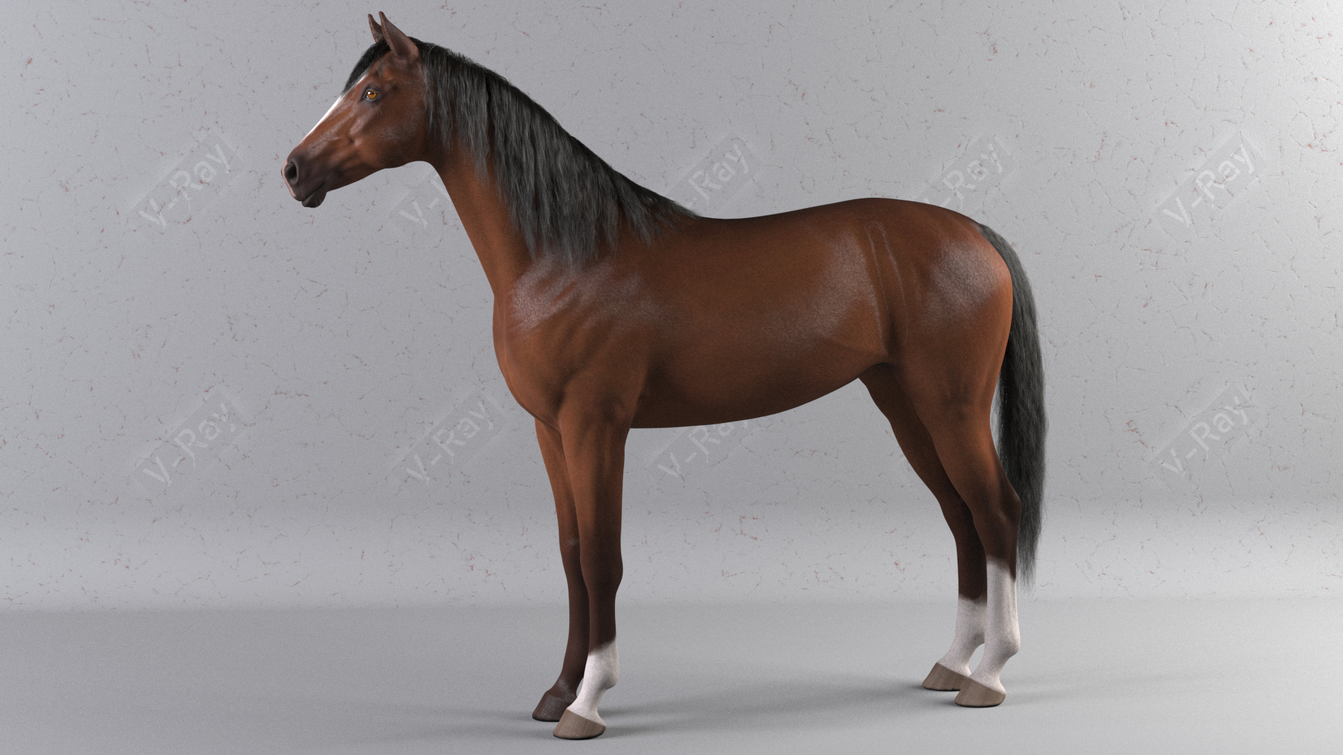 Horse - High Poly 3D Model - TurboSquid 2067569