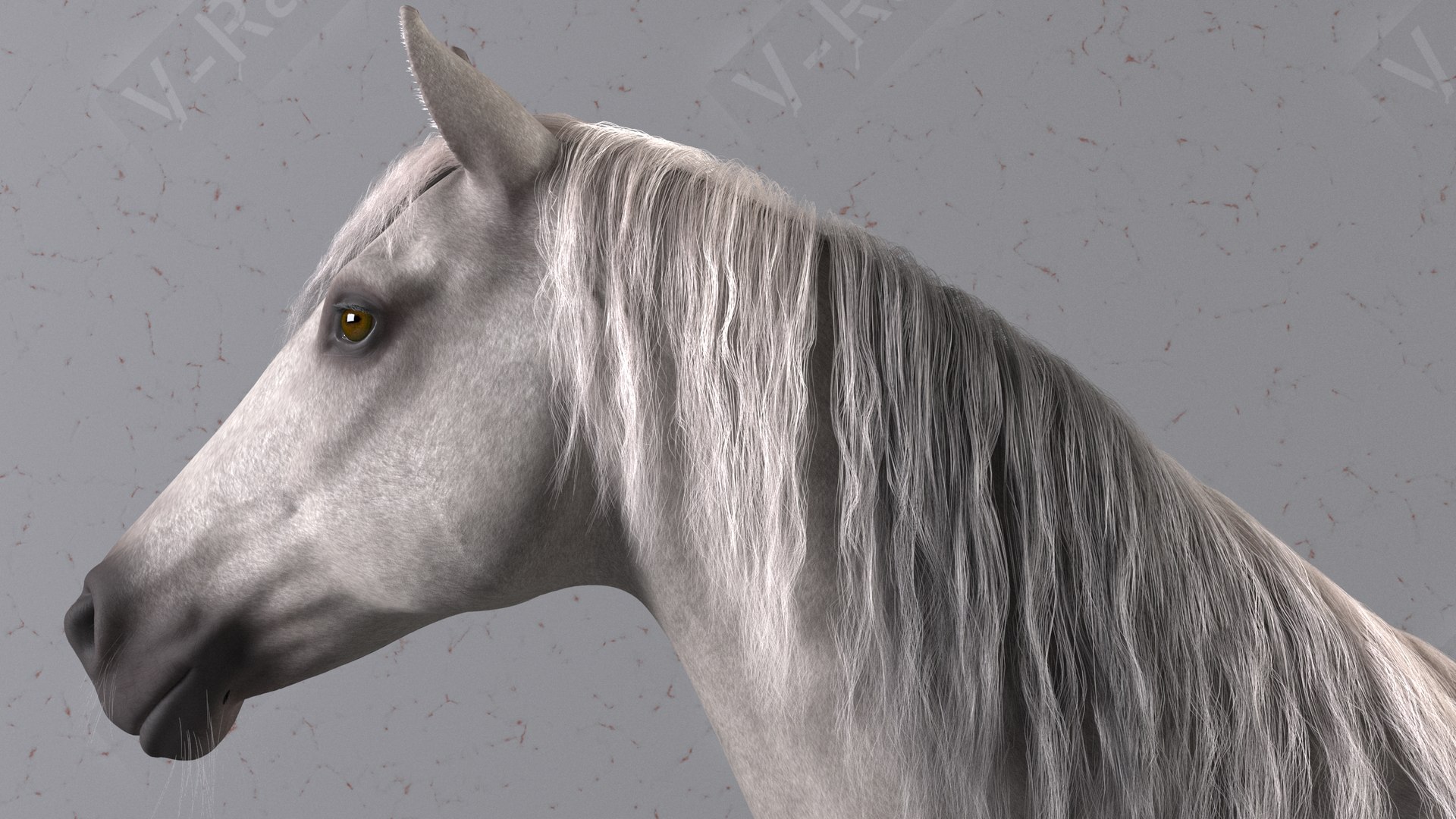 Horse - High Poly 3D Model - TurboSquid 2067569