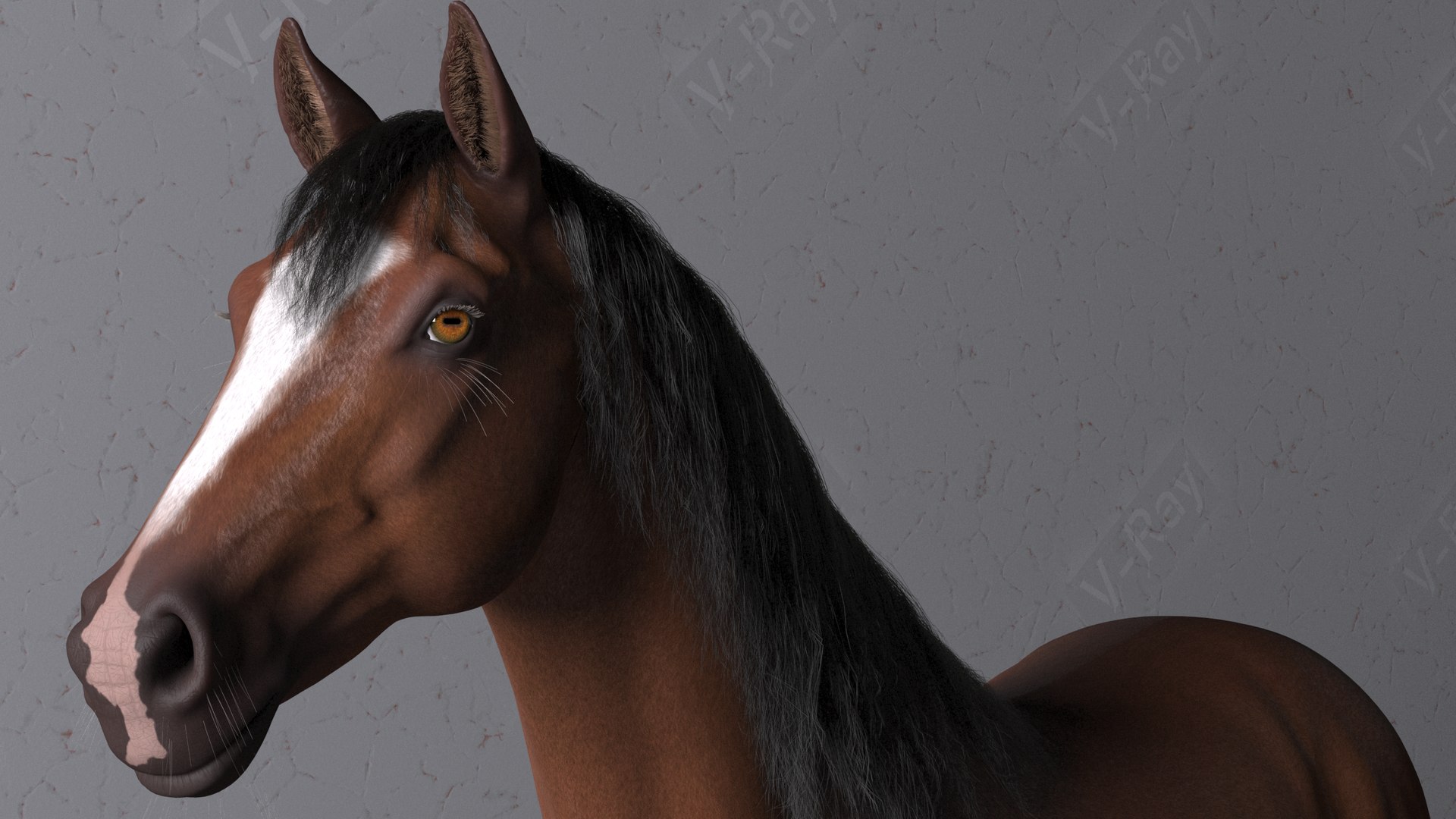 Horse - High Poly 3D Model - TurboSquid 2067569