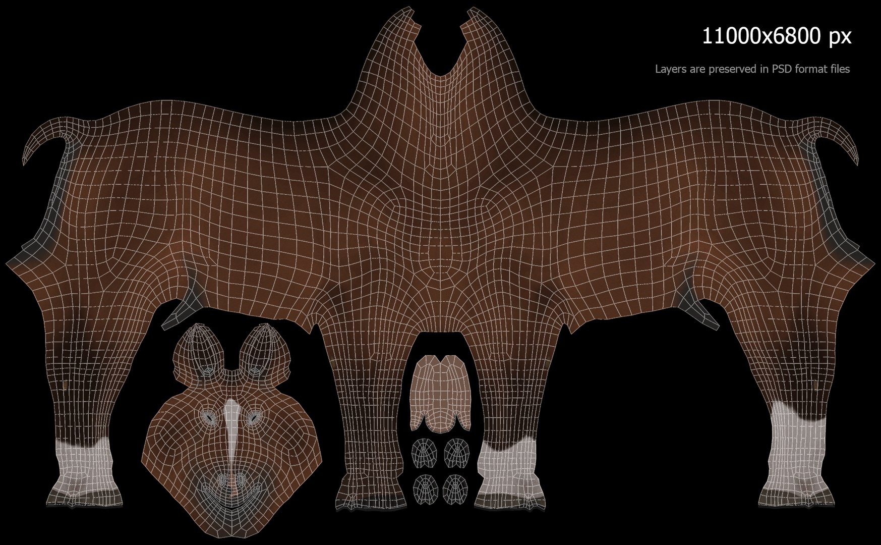 Horse - High Poly 3D Model - TurboSquid 2067569