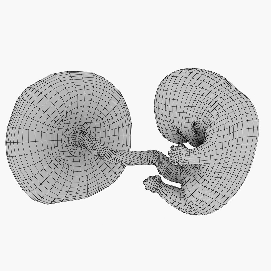 3D human fetus week 8 - TurboSquid 1176645