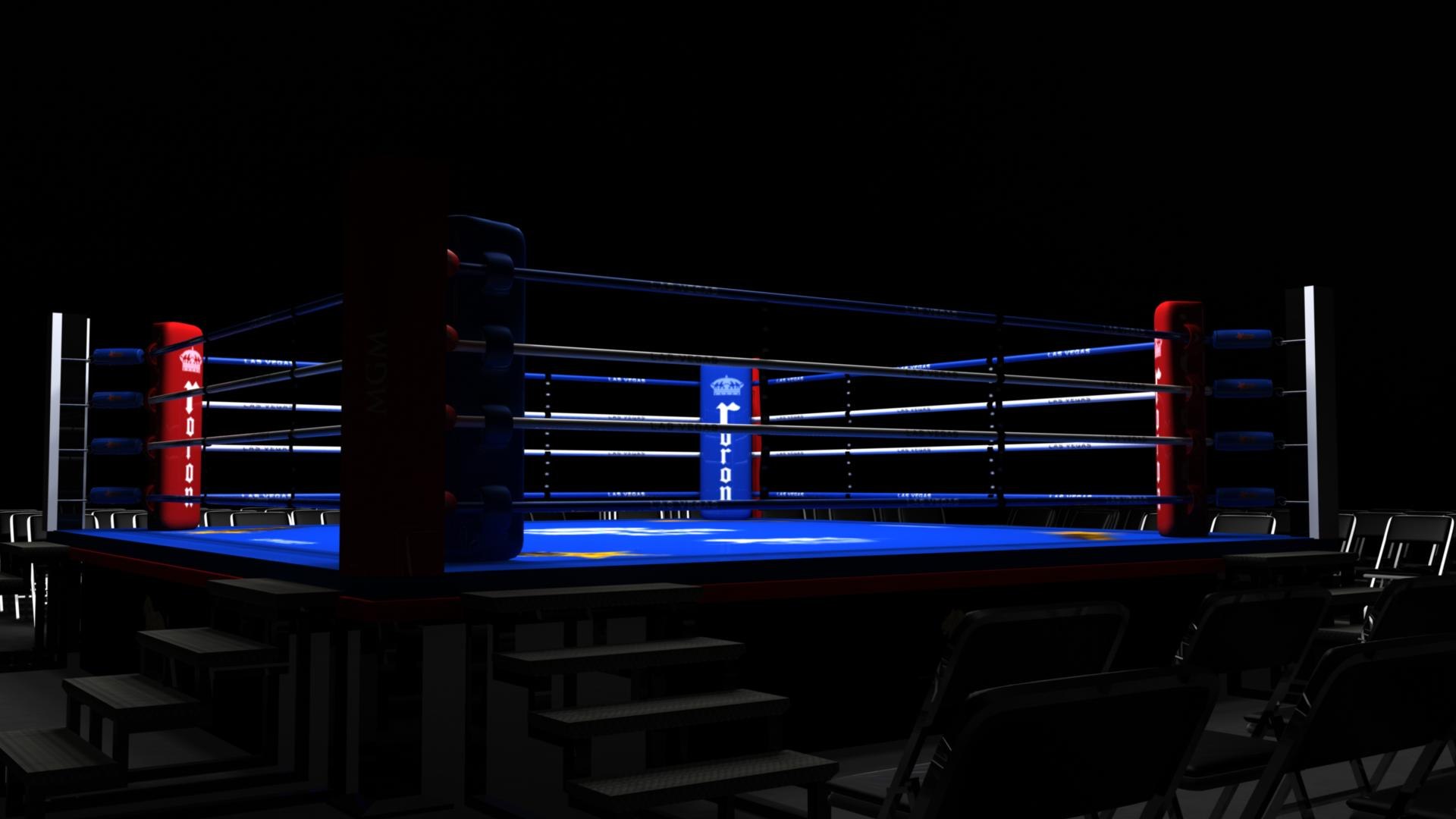 3D Boxing Ring Model - TurboSquid 830687