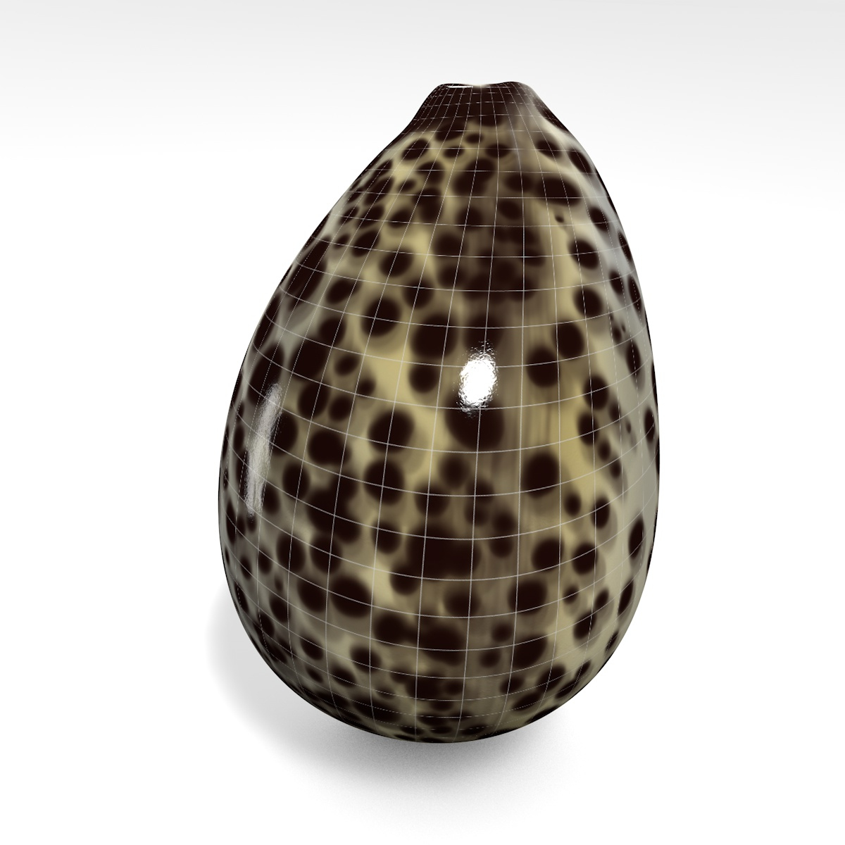 3D model cypraea tigris shell - TurboSquid 1222682