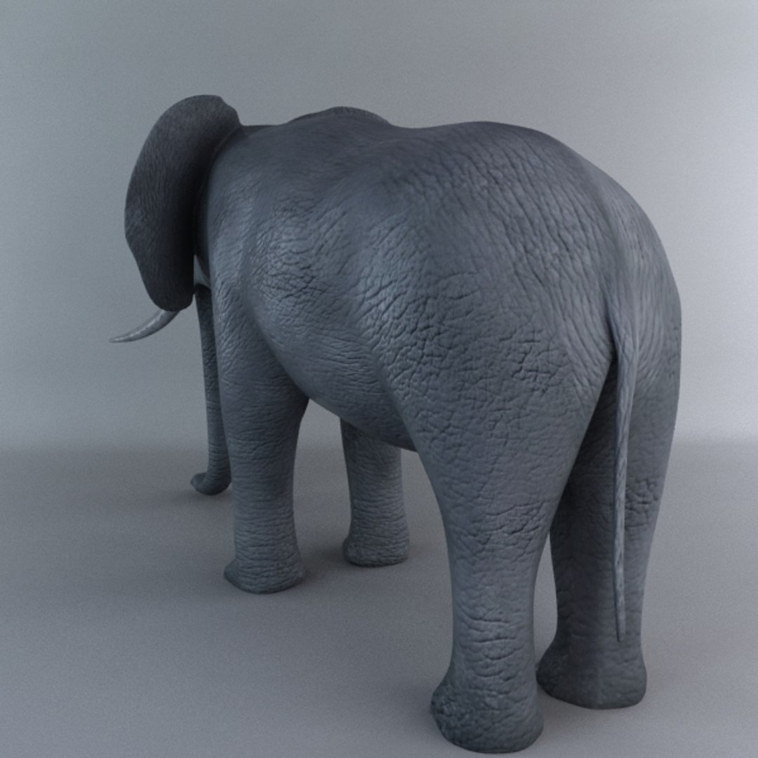 3d Elephant African Model