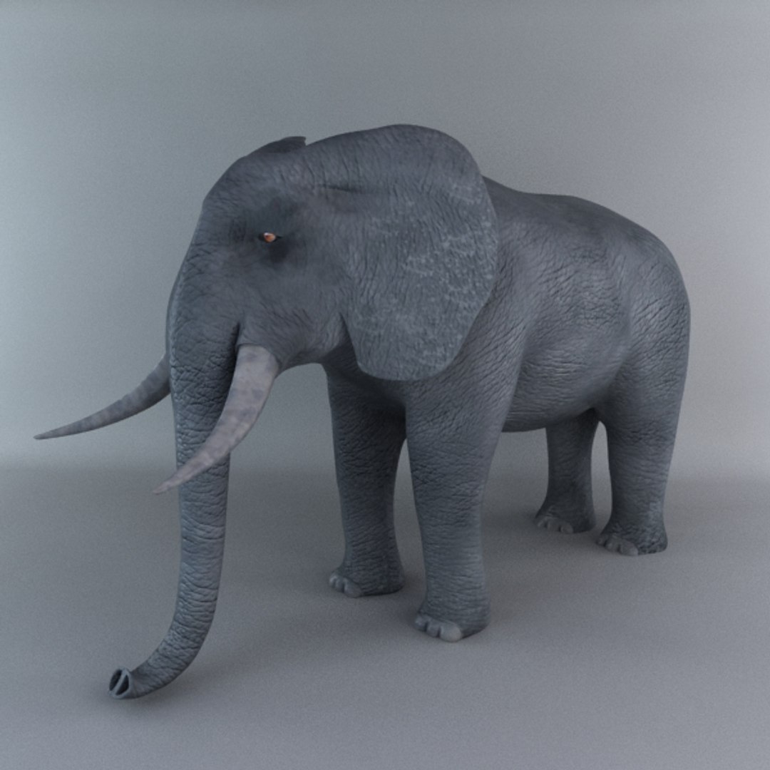 3d Elephant African Model