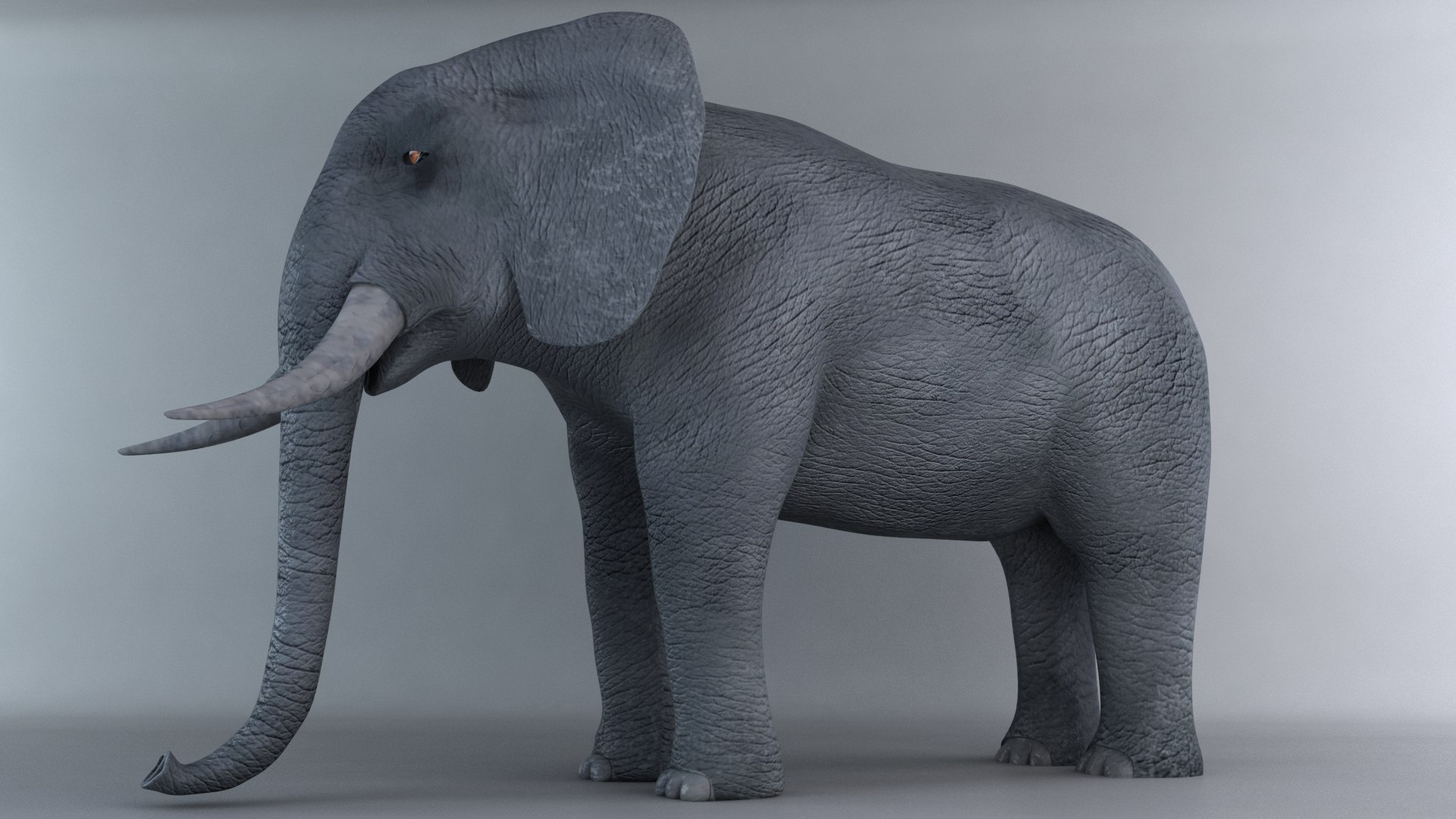 3d Elephant African Model