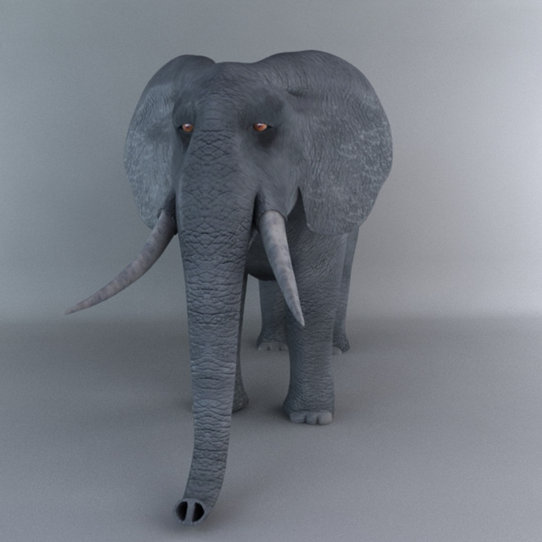 3d Elephant African Model