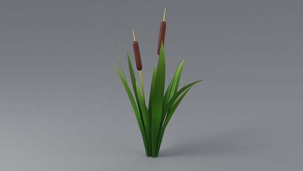 modelo 3d Colección de totora de dibujos animados - TurboSquid 1904315