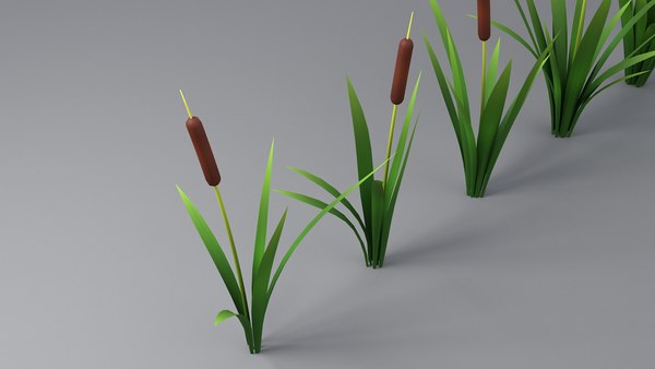 Cartoon Cattail Pack 3D model - TurboSquid 1904315