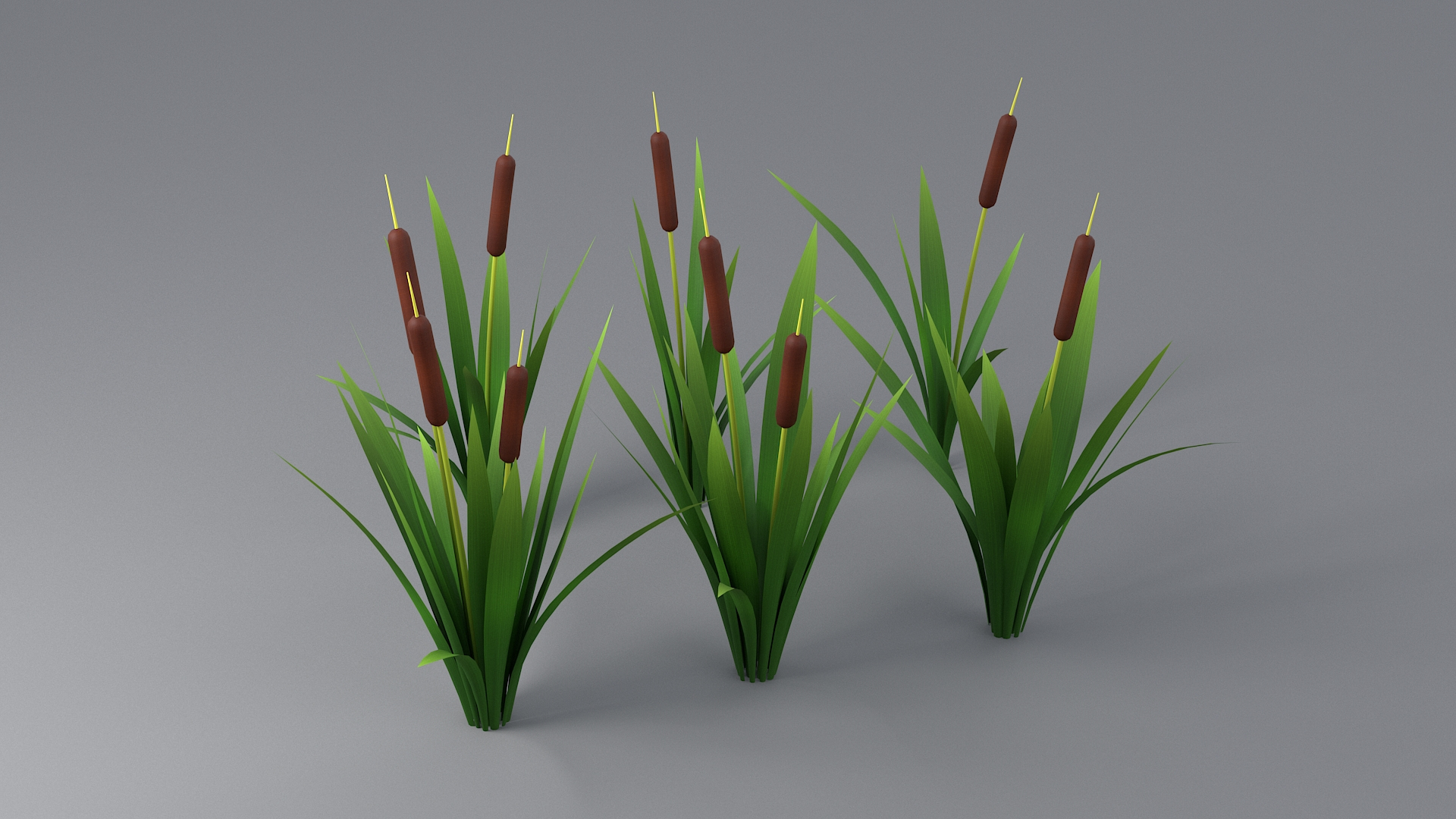 Cartoon Cattail Pack 3D model - TurboSquid 1904315