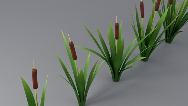 Cartoon Cattail Pack 3D model - TurboSquid 1904315