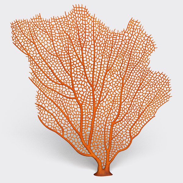 3d coral model