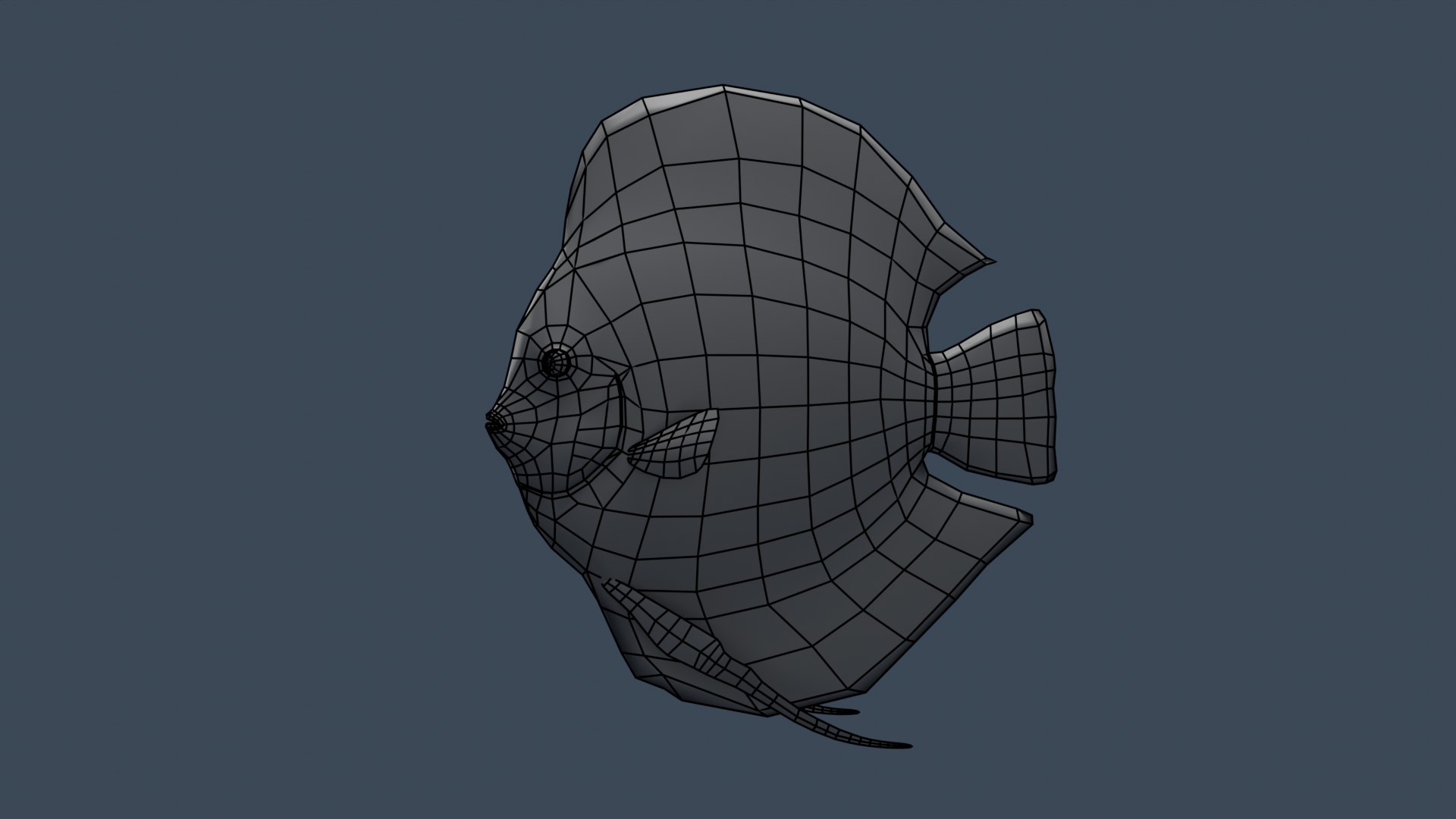 3D DiscusTangerine - TurboSquid 2230605