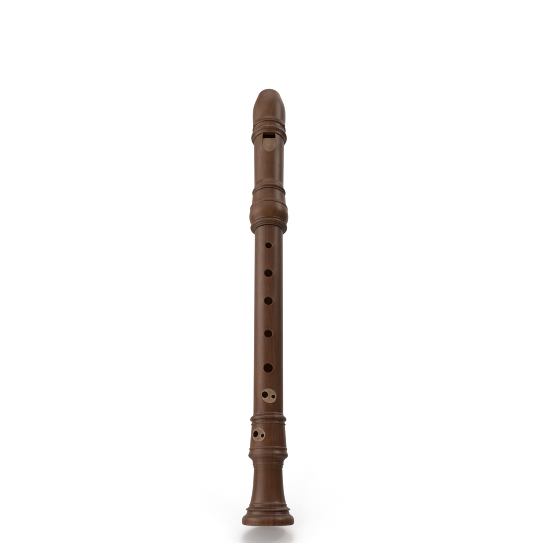 Recorder Musical 3d Model