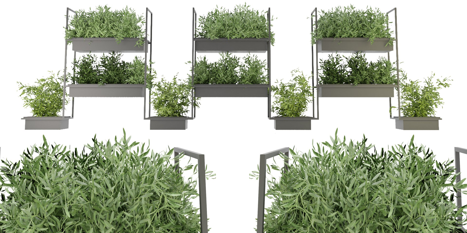 Collection Plant Vol 152 - Blender Model 3D Model - TurboSquid 2086019