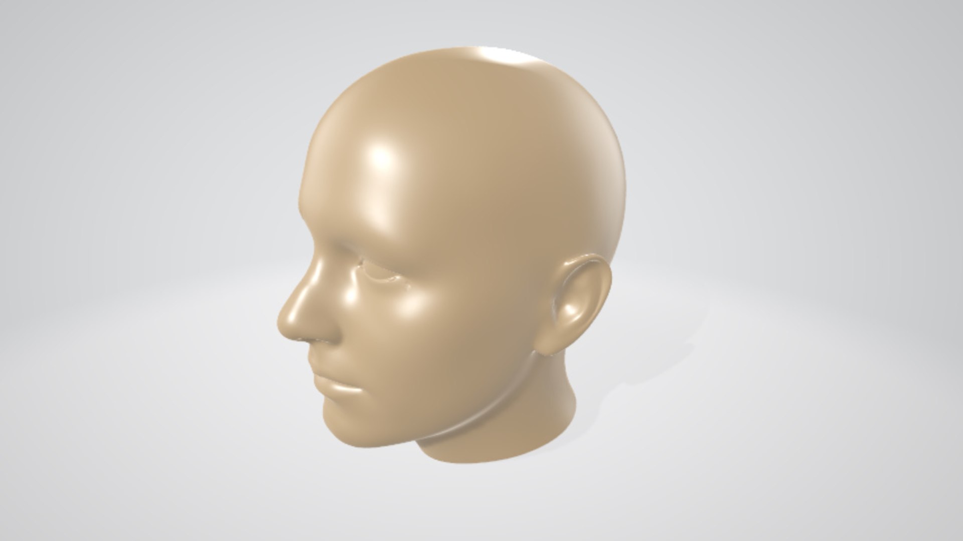 Head Model - TurboSquid 1714944