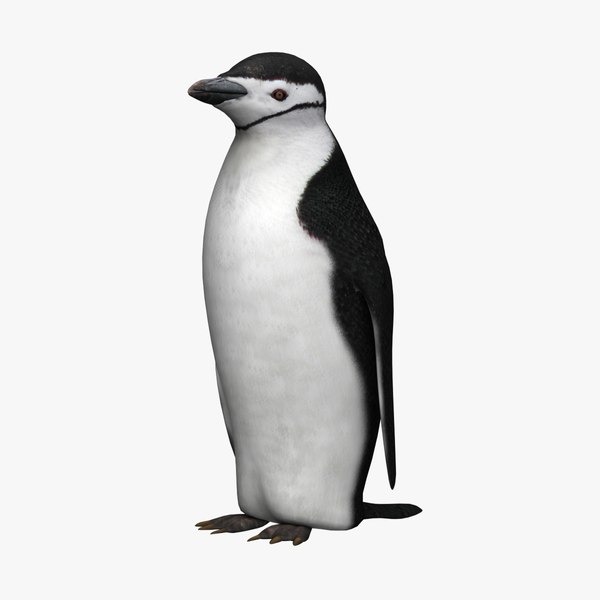 penguin 3d model