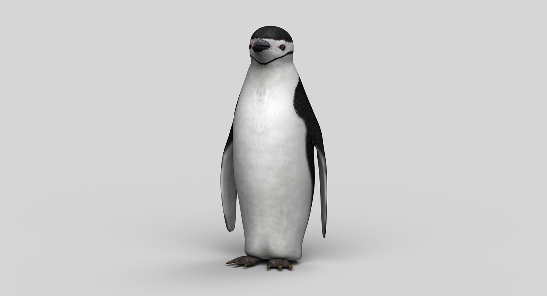 penguin 3d model