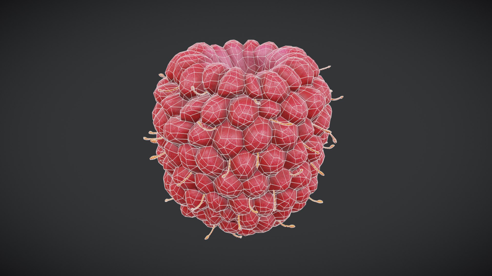 3D Fruit Raspberry Low Poly Model - TurboSquid 2371600