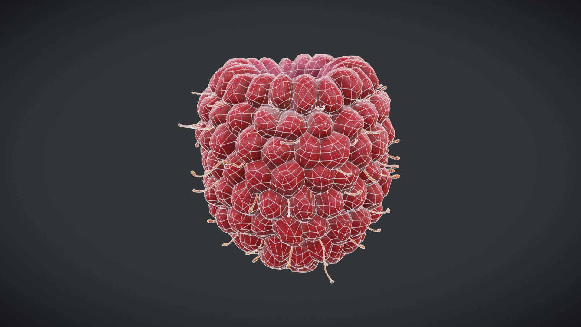 3D Fruit Raspberry Low Poly Model - TurboSquid 2371600