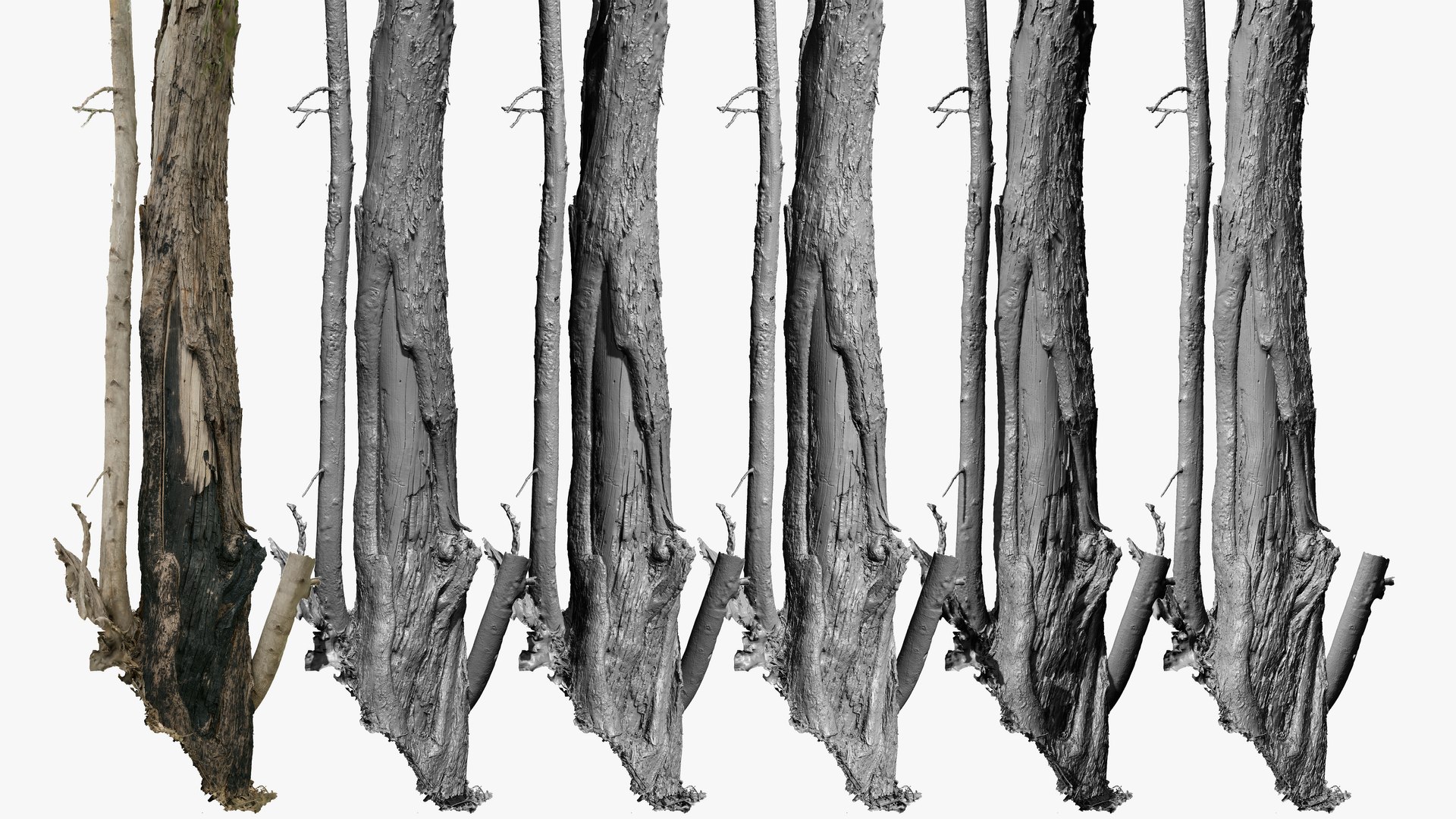 Burnt Tree Trunk 5x4k And 2x16k Textures 3D - TurboSquid 1873723