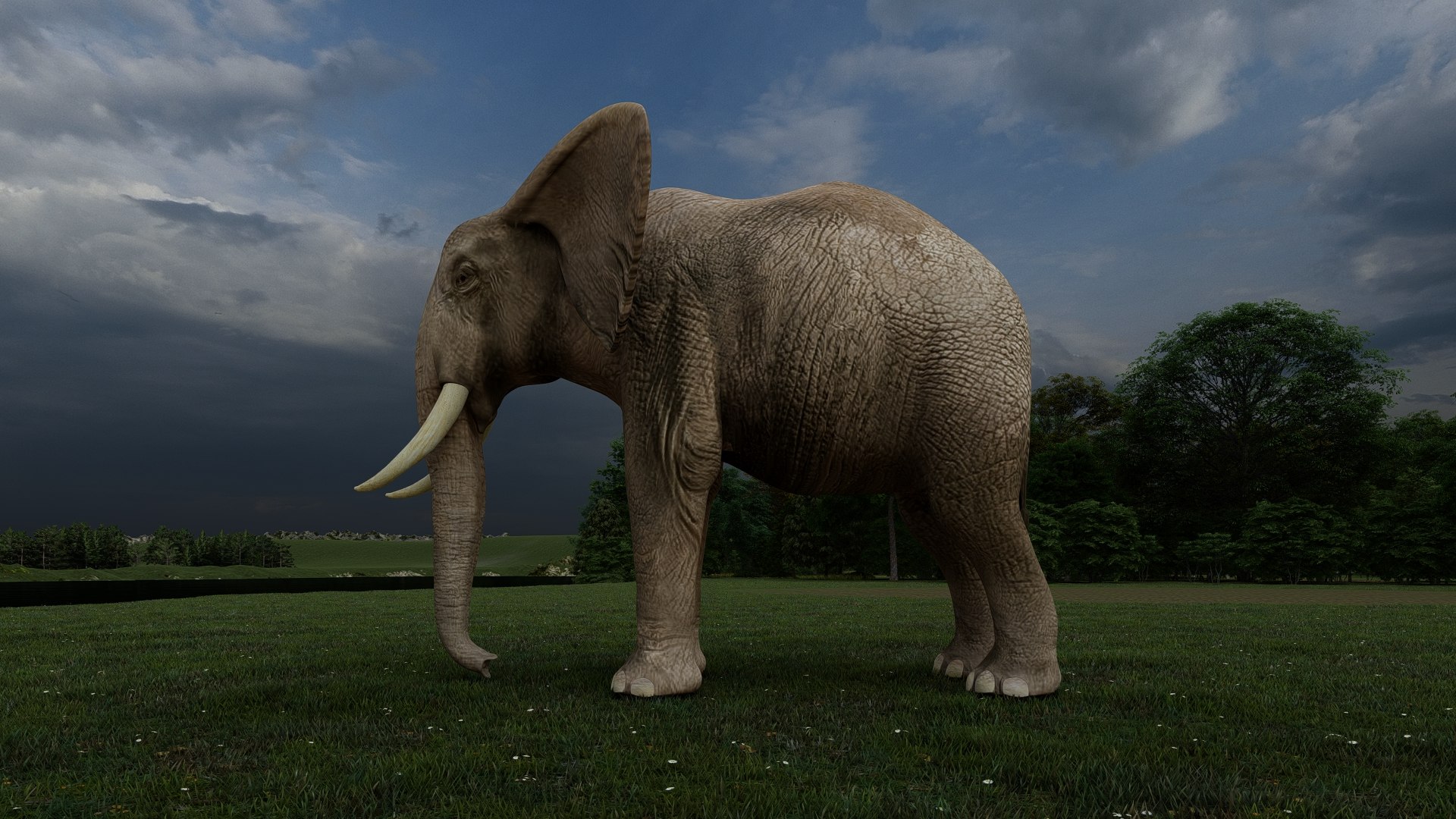 3D African Elephant - TurboSquid 1925050