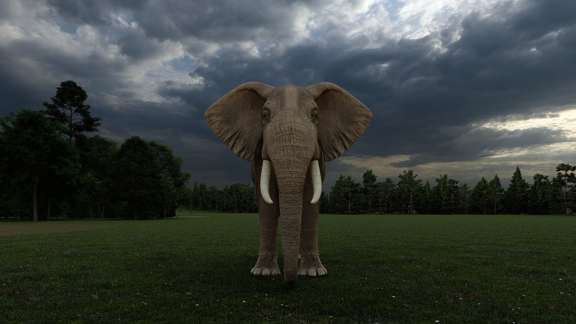 3D African Elephant - TurboSquid 1925050