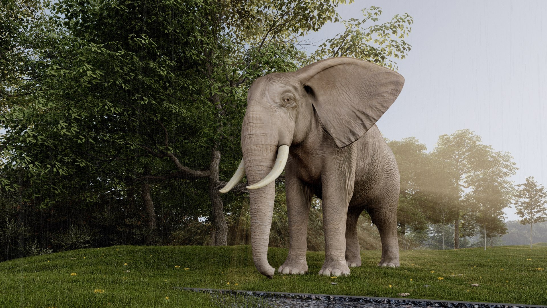 3D African Elephant - TurboSquid 1925050