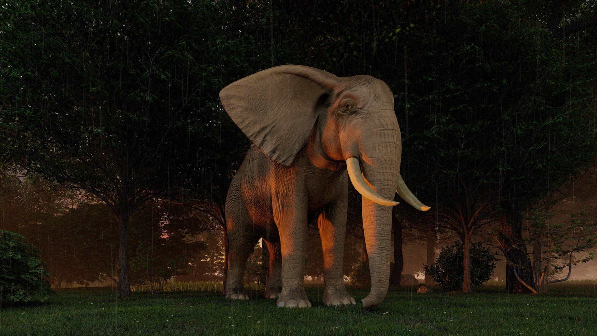 3D African Elephant - TurboSquid 1925050