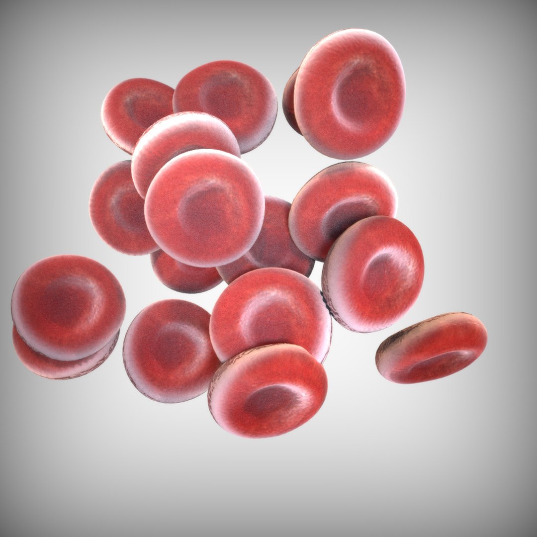 Human Blood Cells Model - TurboSquid 1519895