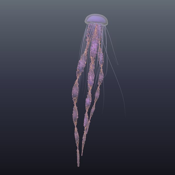 Realistic jellyfish model - TurboSquid 1453268