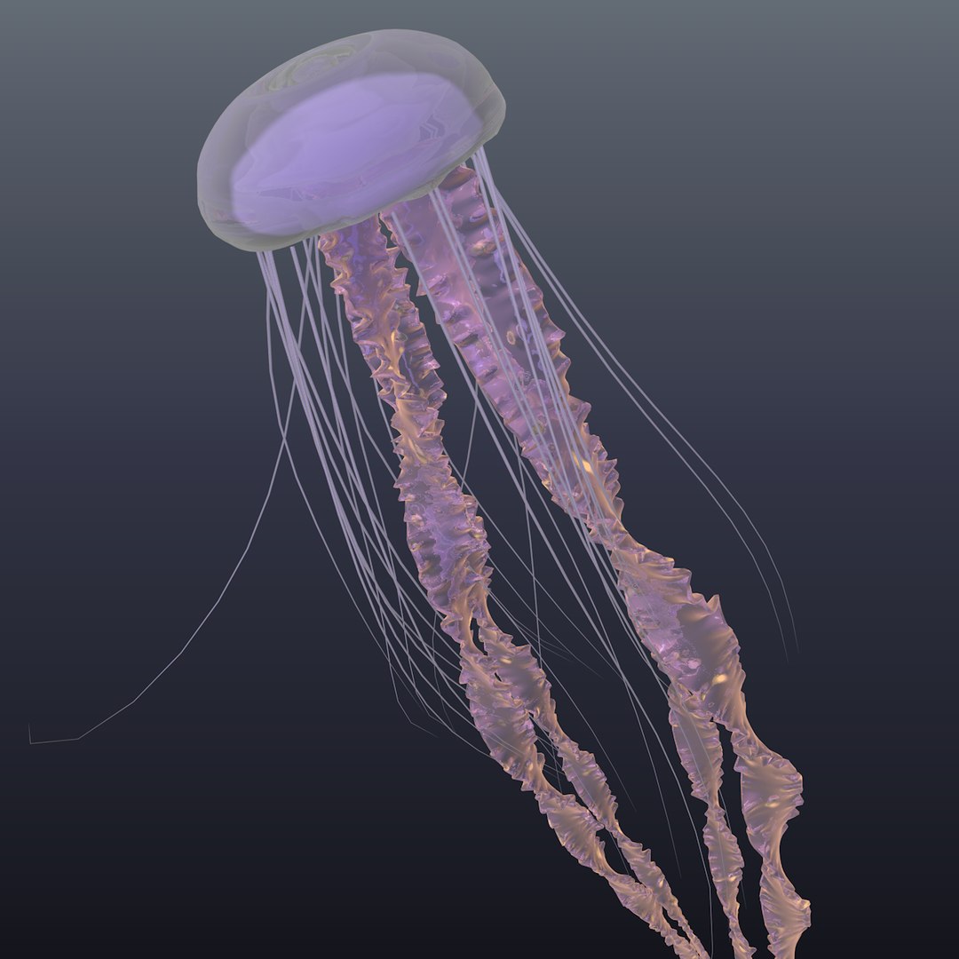 3D Realistic Jellyfish - TurboSquid 1453101
