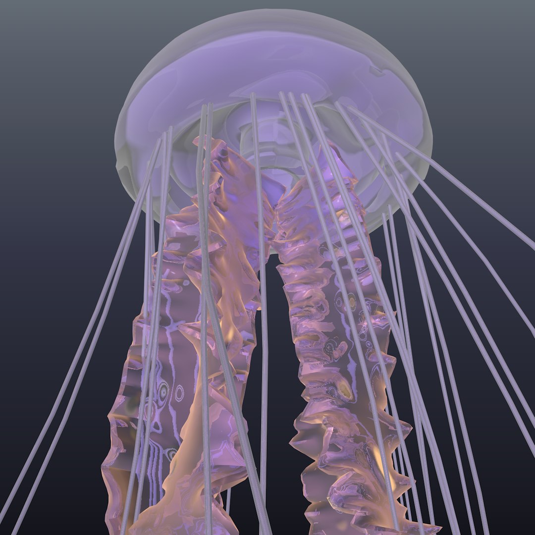 3D Realistic Jellyfish - TurboSquid 1453101