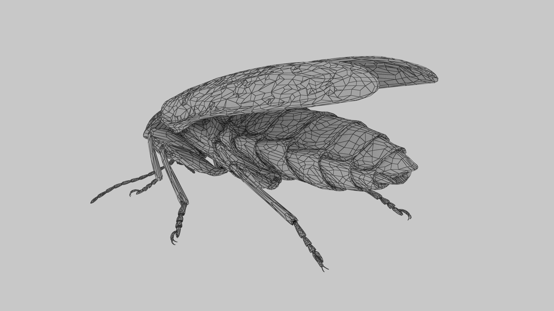 Animated Glowing FireFly Bug 3D - TurboSquid 2095861