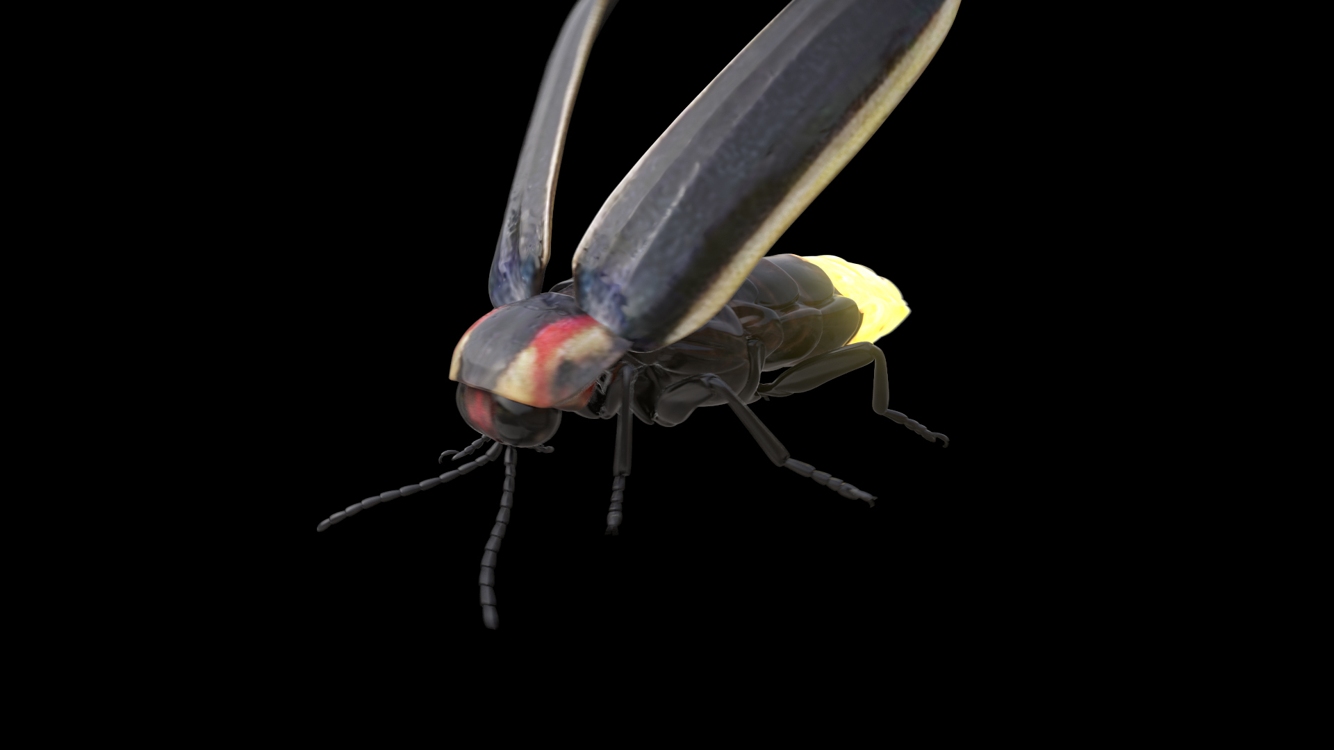 Animated Glowing FireFly Bug 3D - TurboSquid 2095861