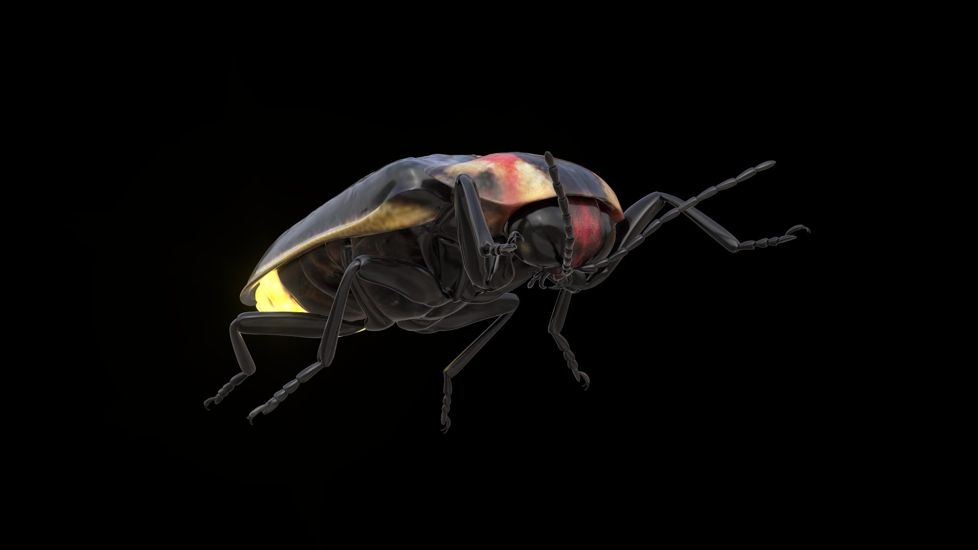 Animated Glowing FireFly Bug 3D - TurboSquid 2095861